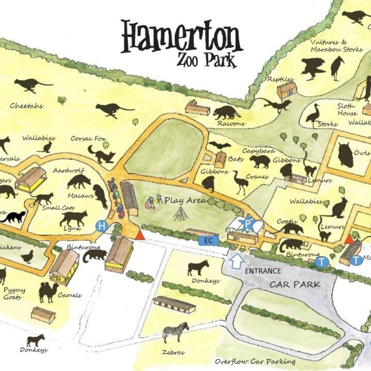 Manor Drive Primary Academy - Friday 21st March 2025 Lower Key Stage Two Trip to Hamerton Zoo Park